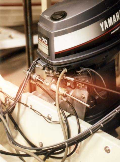 Classic Whaler: Boston Whaler: Reference: 20-Revenge