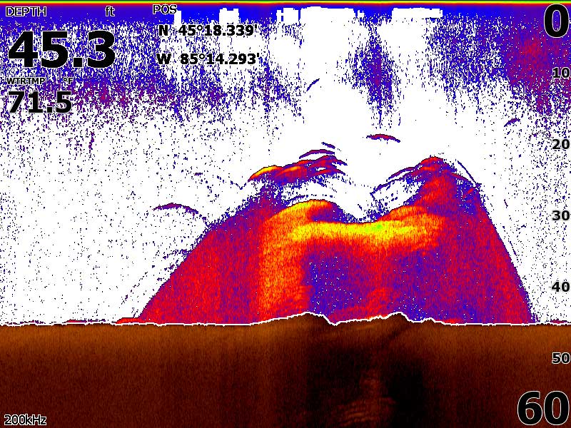 SONAR Echograms - Moderated Discussion Areas